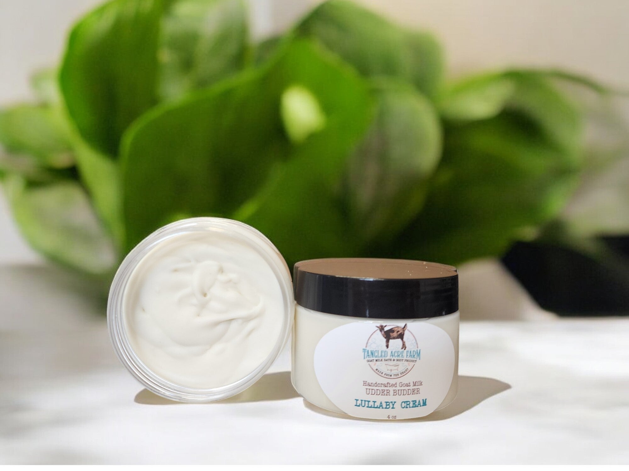 Lullaby Cream | TangledAcreFarm